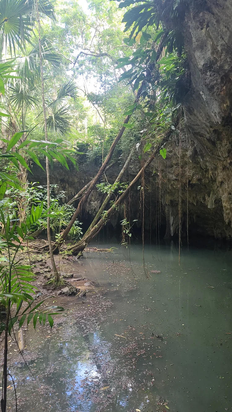 Visiting Cozumel's Jade Cenote in El Cedral — Deviating the Norm