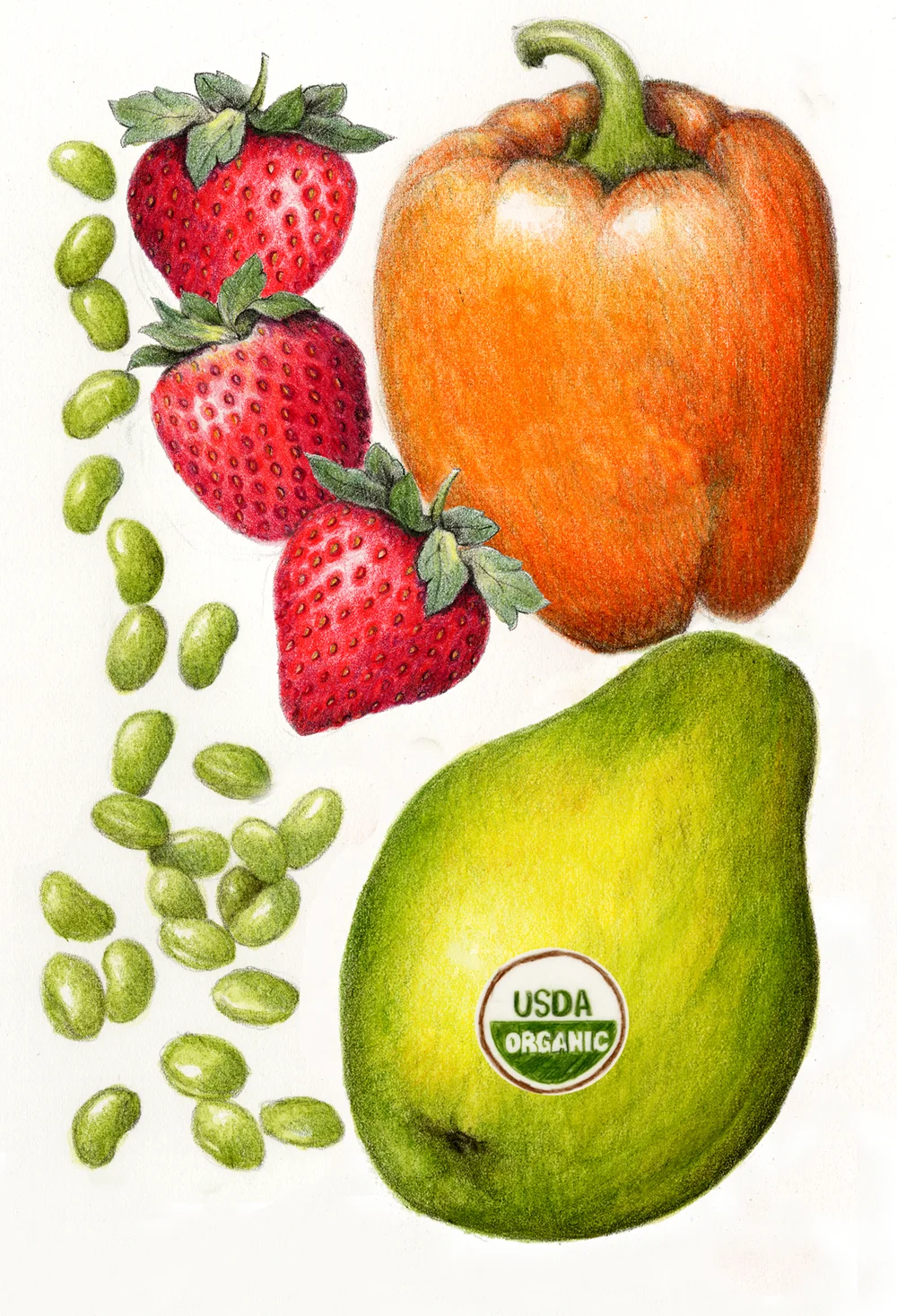 Fruits And Vegetables Drawing