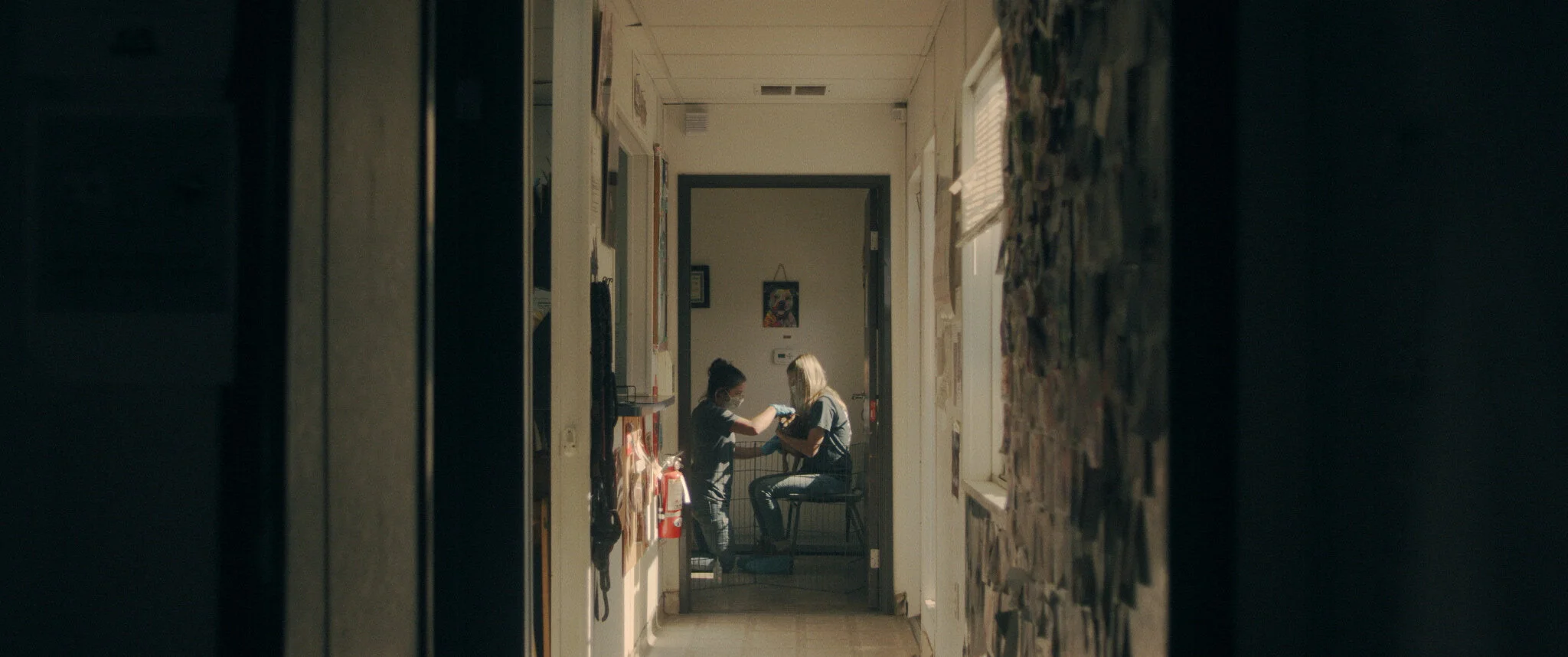 JEREMY MCNAMARA | Director & DP