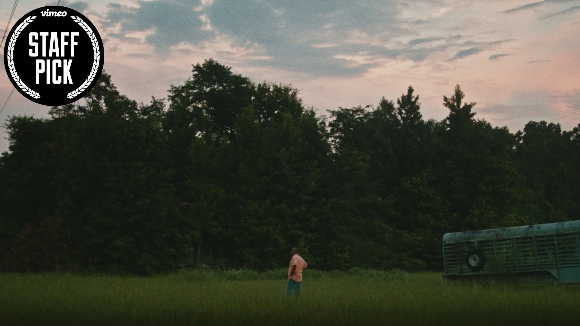 JEREMY MCNAMARA | Director & DP