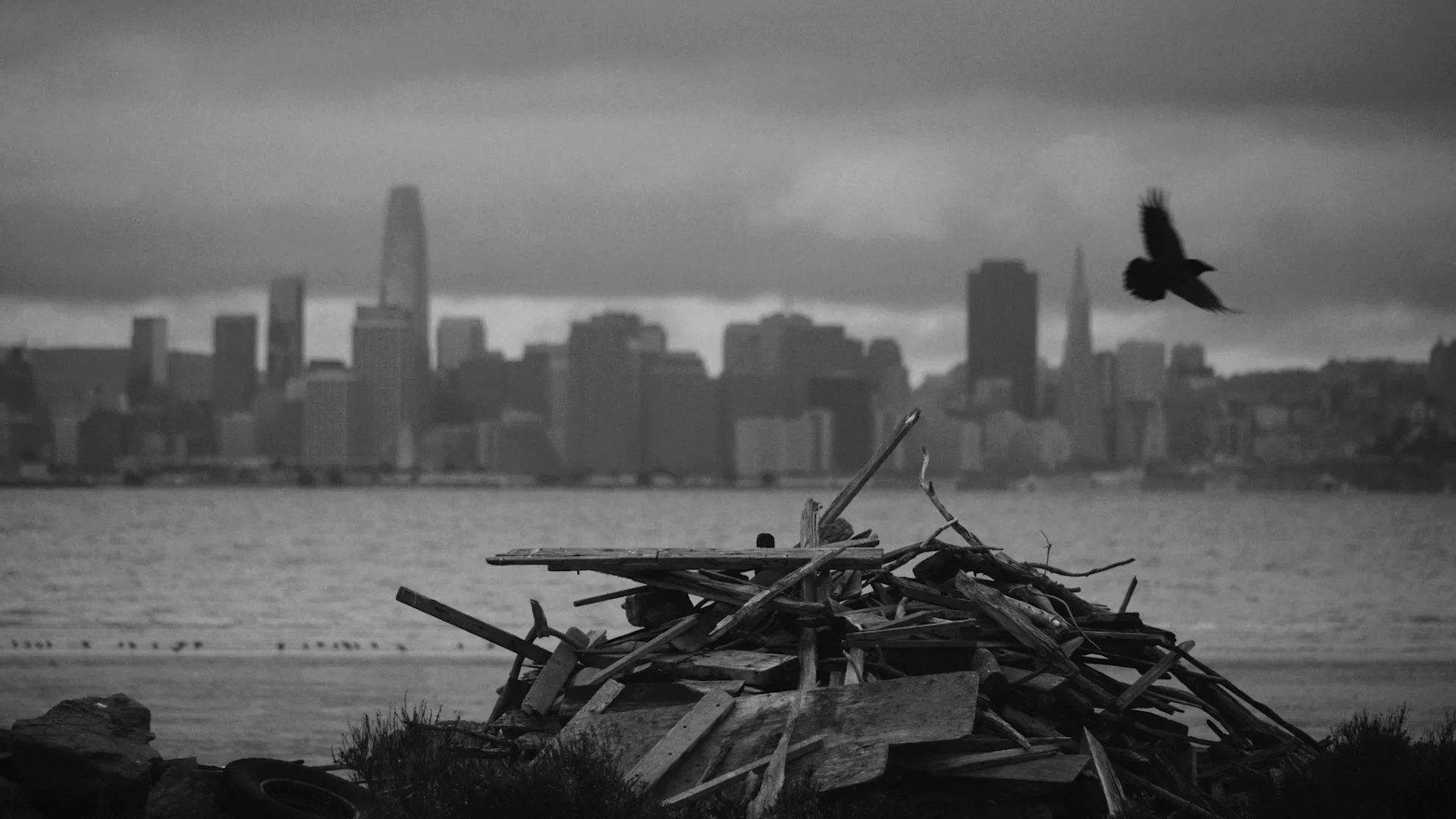 JEREMY MCNAMARA | Director & DP