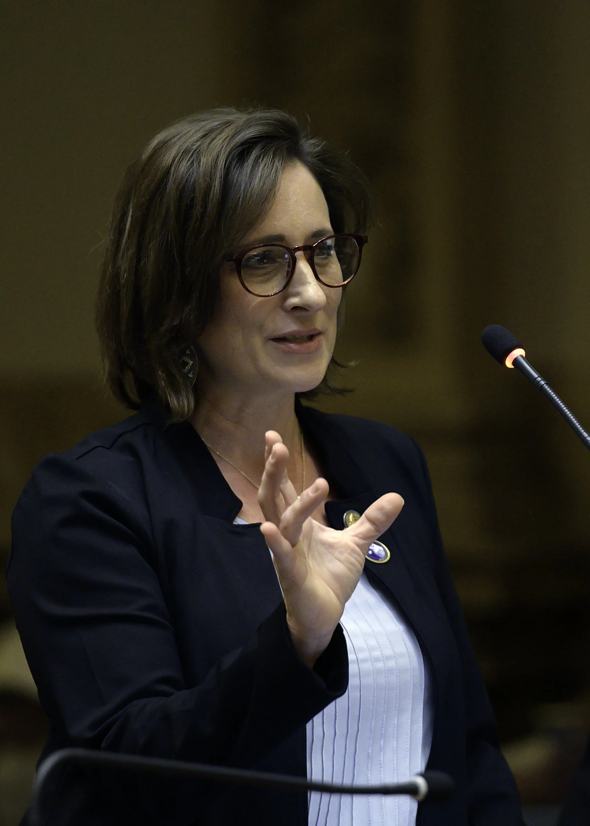 TICHENOR CHAMPIONS SB 167 ON CURSIVE HANDWRITING THROUGH SENATE ...