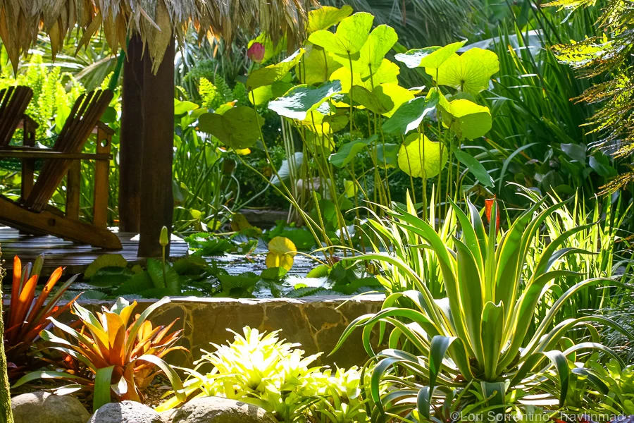 Hotel Banana Azul: Where to Stay in Puerto Viejo Costa Rica ...