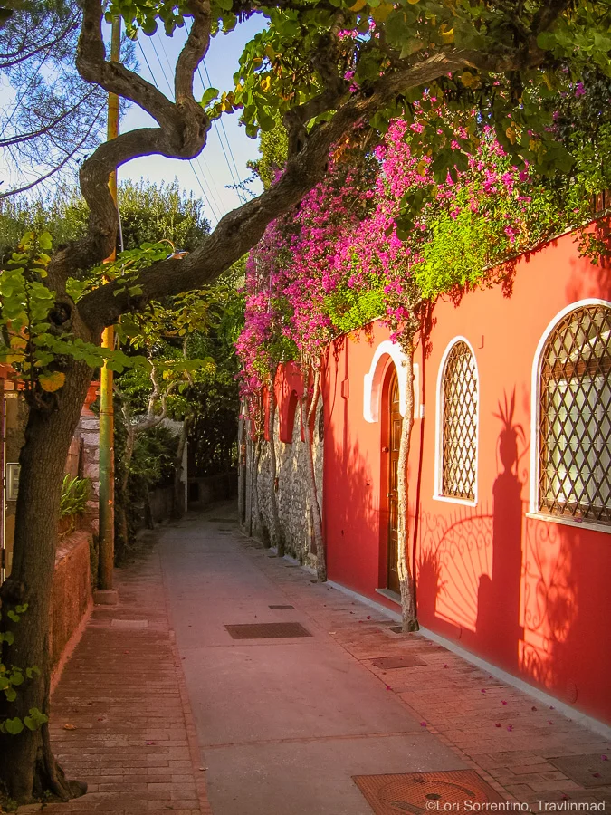 All the Wonderful Things to Do in Capri (So Why Go For Just A Day ...