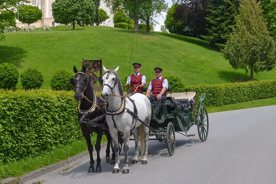 Piber Stud Farm in the Amazing Lipizzanerheimat, Austria — Travlinmad ...
