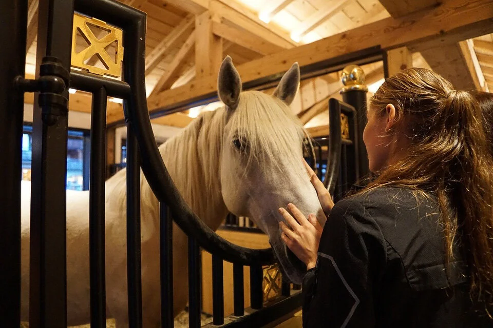 Piber Stud Farm in the Amazing Lipizzanerheimat, Austria — Travlinmad ...
