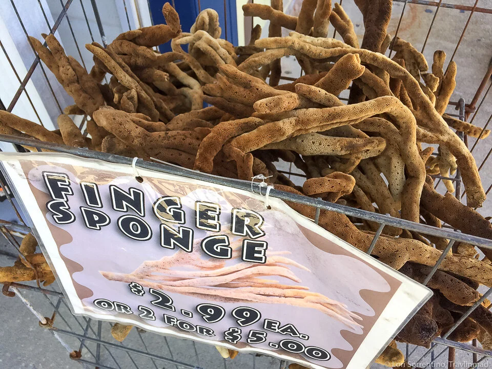 Opa! Greek Sponge Diving and Fun Things to Do in Tarpon Springs ...