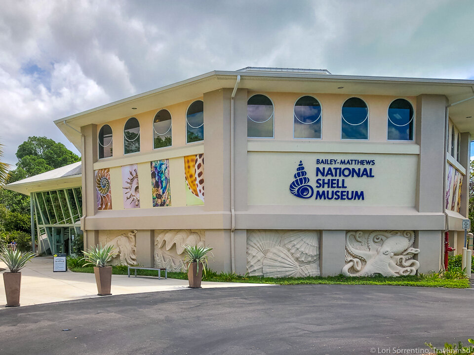 Bailey Matthews Shell Museum Sanibel