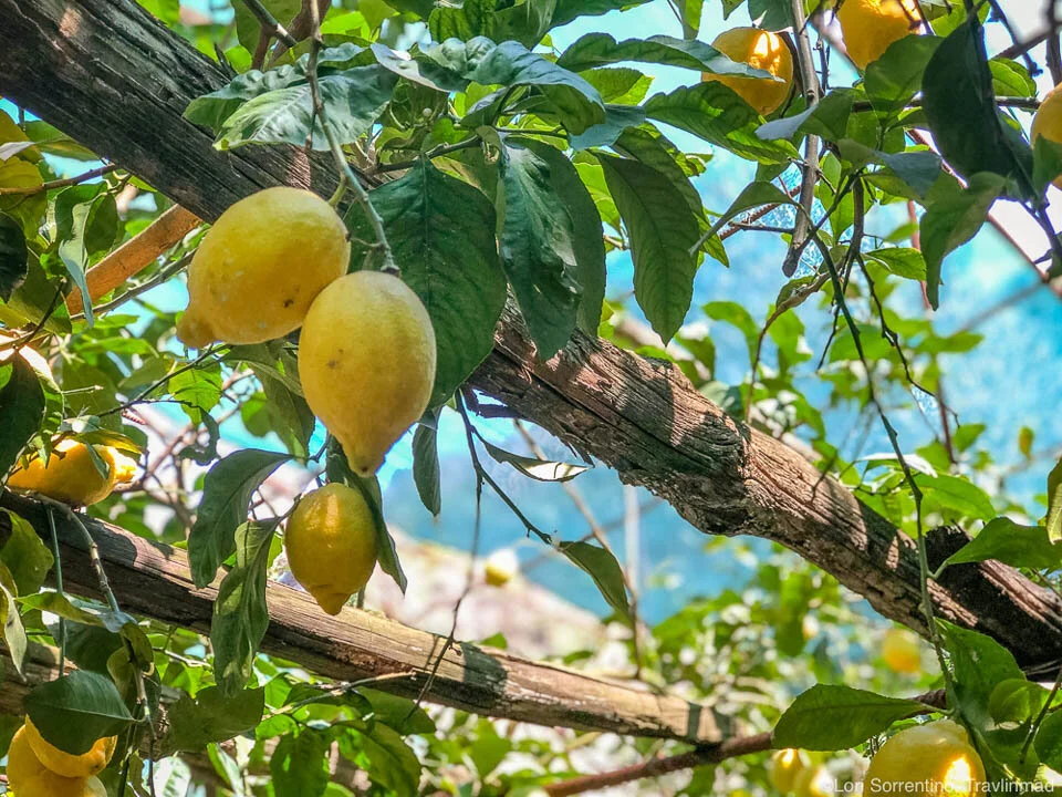 Local Amalfi Coast Tours With Valise Travel Concierge — Travlinmad Slow ...