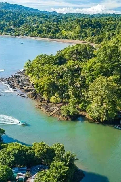 Essential Guide to Drake Bay Costa Rica: Things to Do & Where to Stay ...