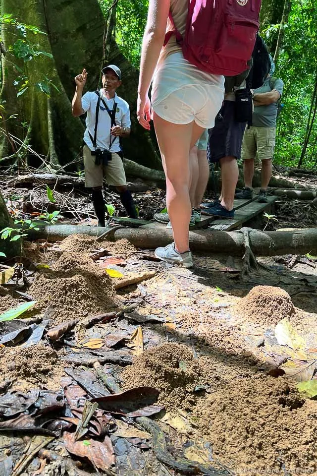 The Osa Peninsula in Costa Rica: Wild Fun For Nature Lovers ...