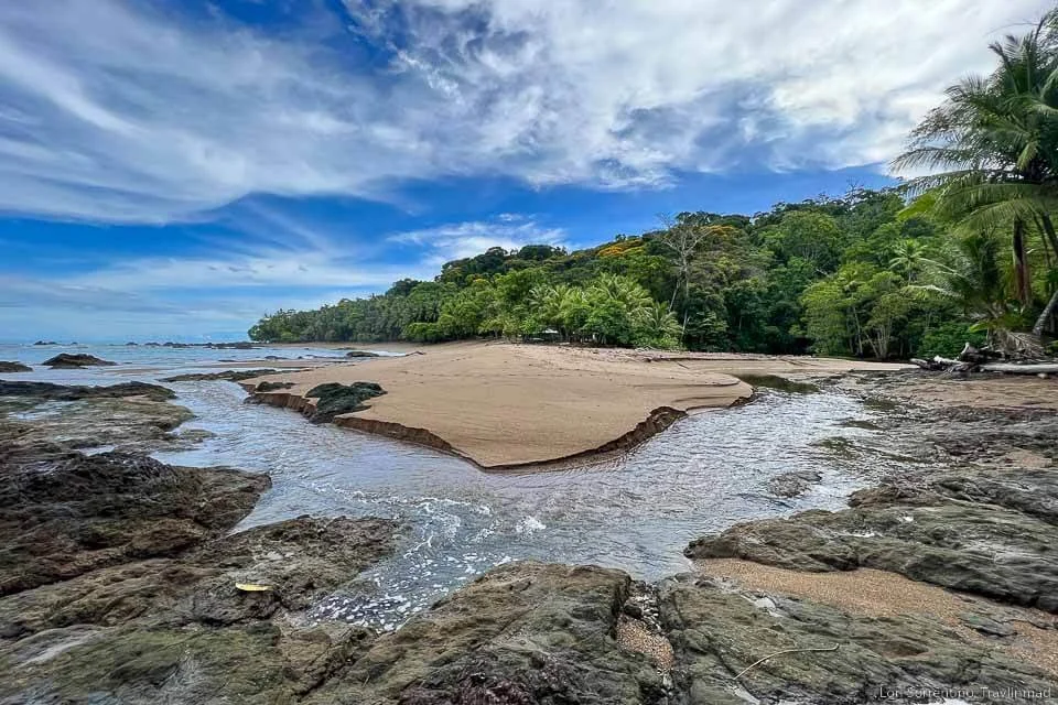 Essential Guide to Drake Bay Costa Rica: Things to Do & Where to Stay ...
