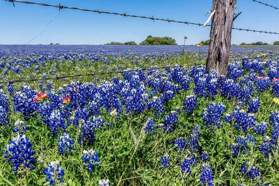 21 Best Spring Break Destinations in the USA (City Breaks, Beaches ...