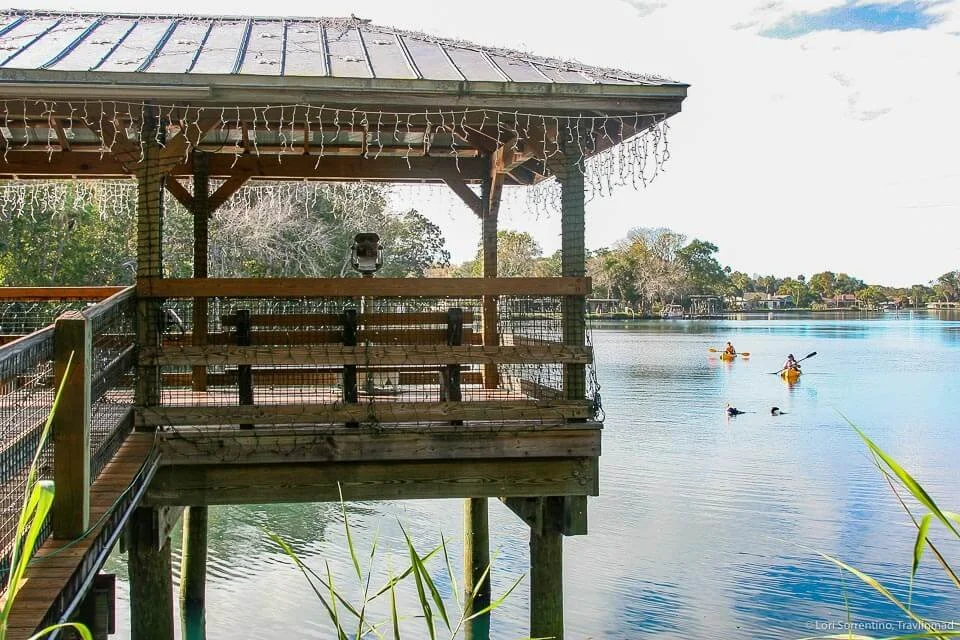 Homosassa Springs Wildlife State Park: The Wild Side of Florida’s ...