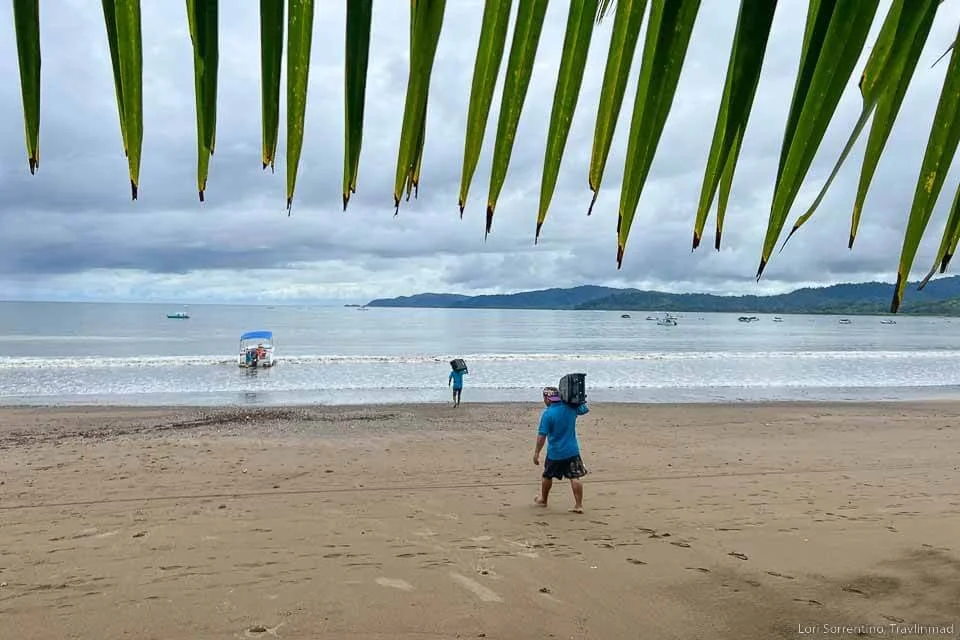 Essential Guide to Drake Bay Costa Rica: Things to Do & Where to Stay ...