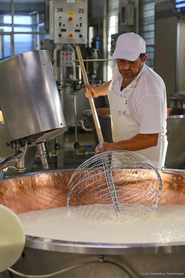 The Big Bologna Food Tour: DOP Rules the Italian Days Food Experience ...