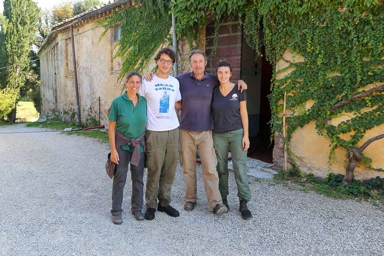 At Pacina, An Old Soul Lets Mother Nature Craft Their Organic Wine ...