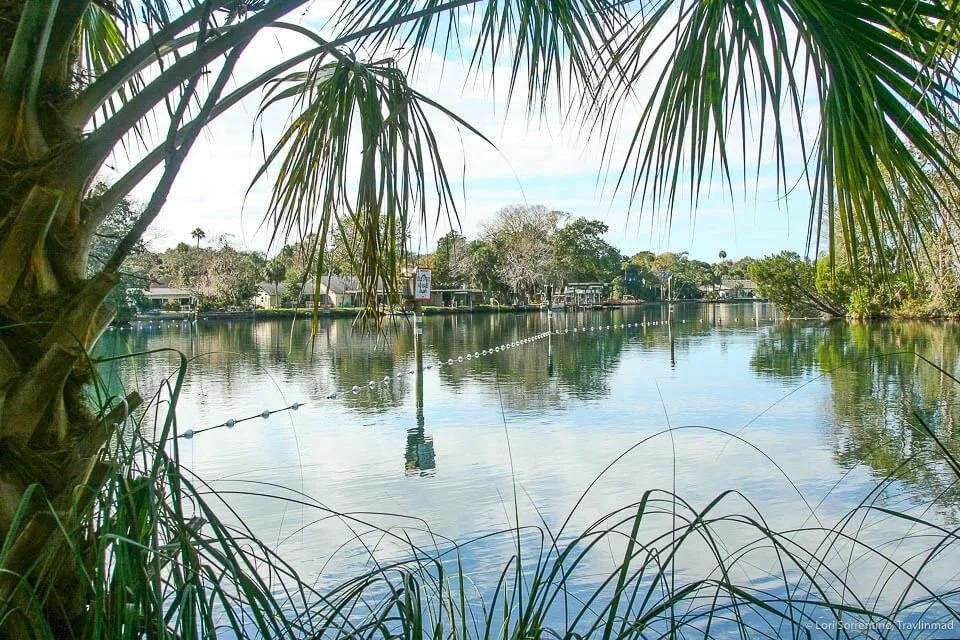 Homosassa Springs Wildlife State Park: The Wild Side of Florida’s ...
