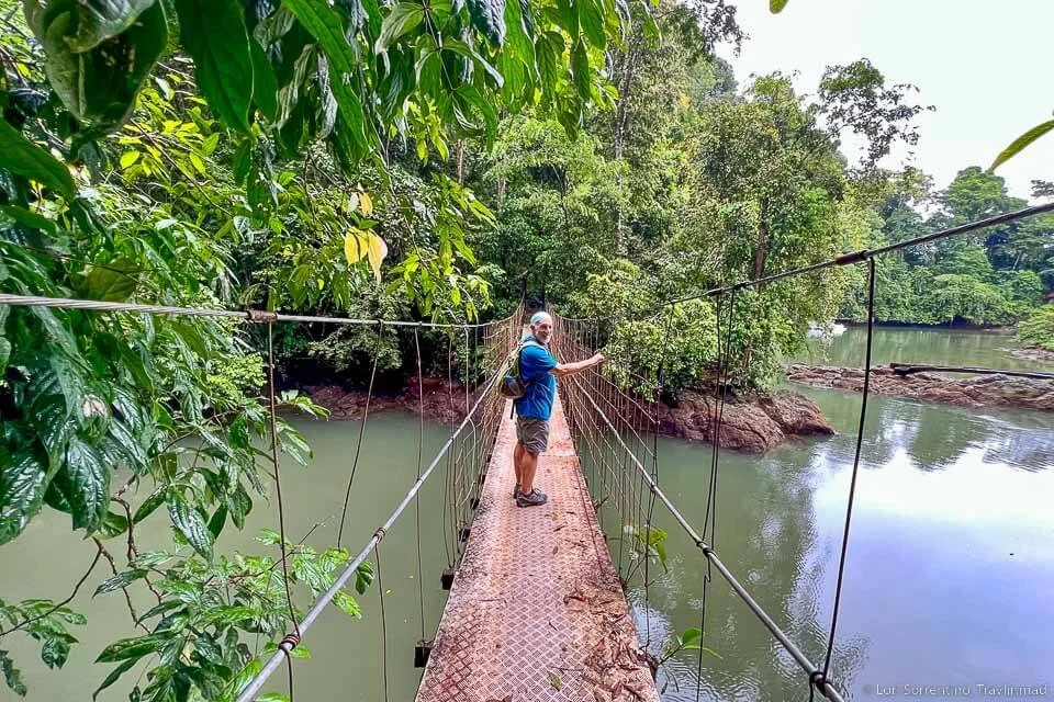 Essential Guide to Drake Bay Costa Rica: Things to Do & Where to Stay ...