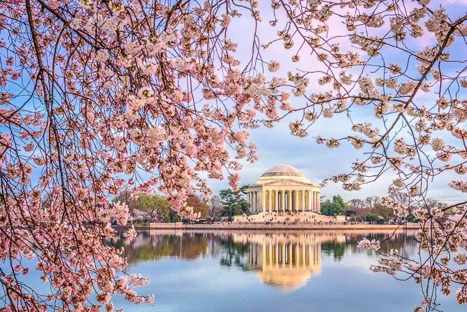 21 Best Spring Break Destinations in the USA (City Breaks, Beaches ...