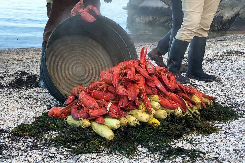 Pissah! 14 Tasty Maine Food Specialties You Have to Try — Travlinmad ...