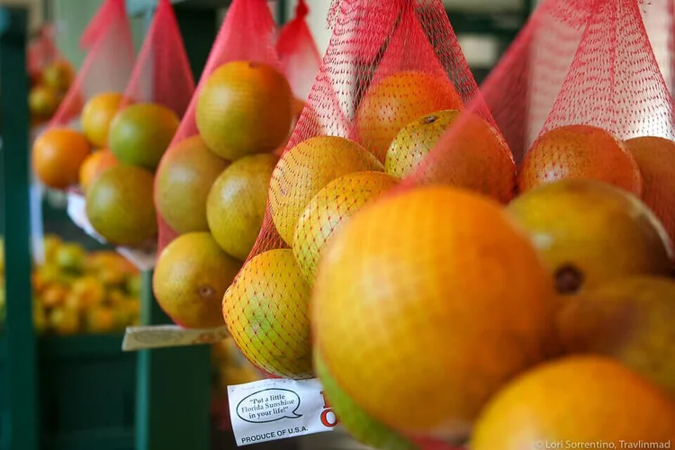 Local Food in Florida: Savoring the Sunshine State in 15 Famous Florida ...