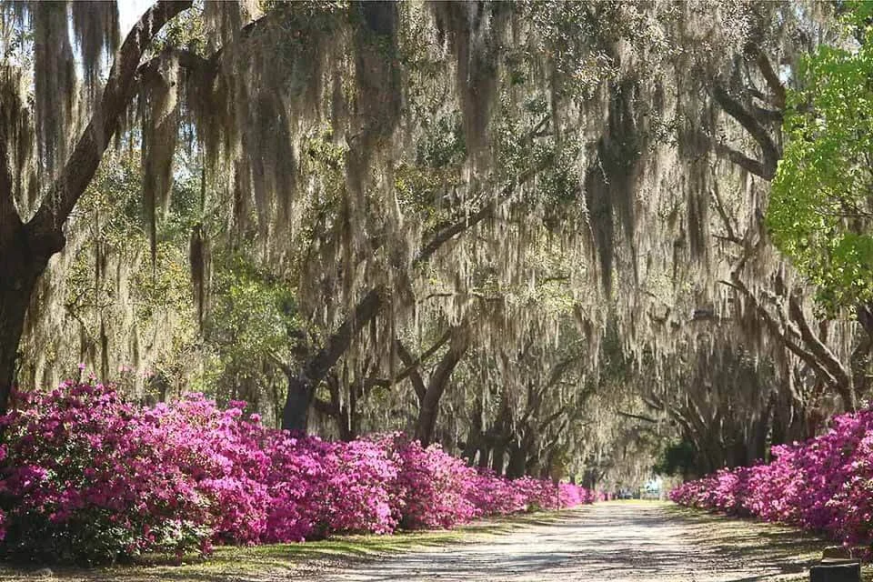 21 Best Spring Break Destinations in the USA (City Breaks, Beaches ...