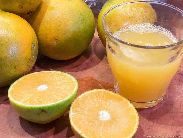 Local Food in Florida: Savoring the Sunshine State in 15 Famous Florida ...