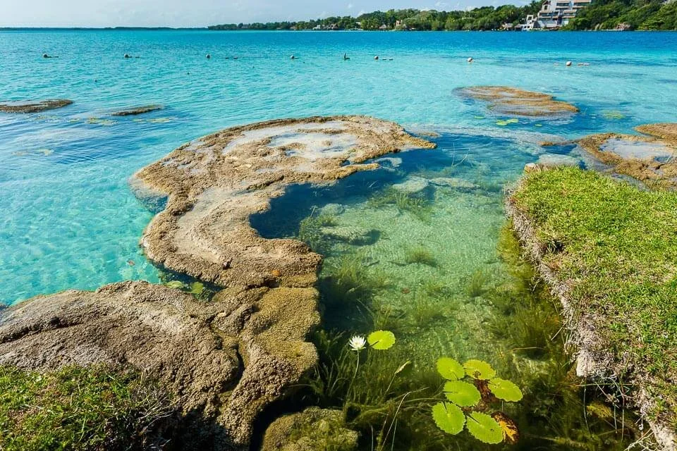 The Wild Things to Do in Bacalar and the Lagoon of 7 Colors ...