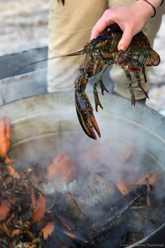 Pissah! 14 Tasty Maine Food Specialties You Have to Try — Travlinmad ...