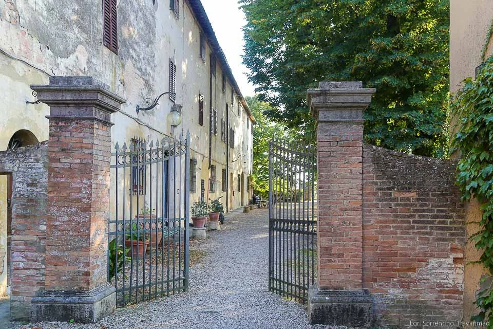 At Pacina, An Old Soul Lets Mother Nature Craft Their Organic Wine ...