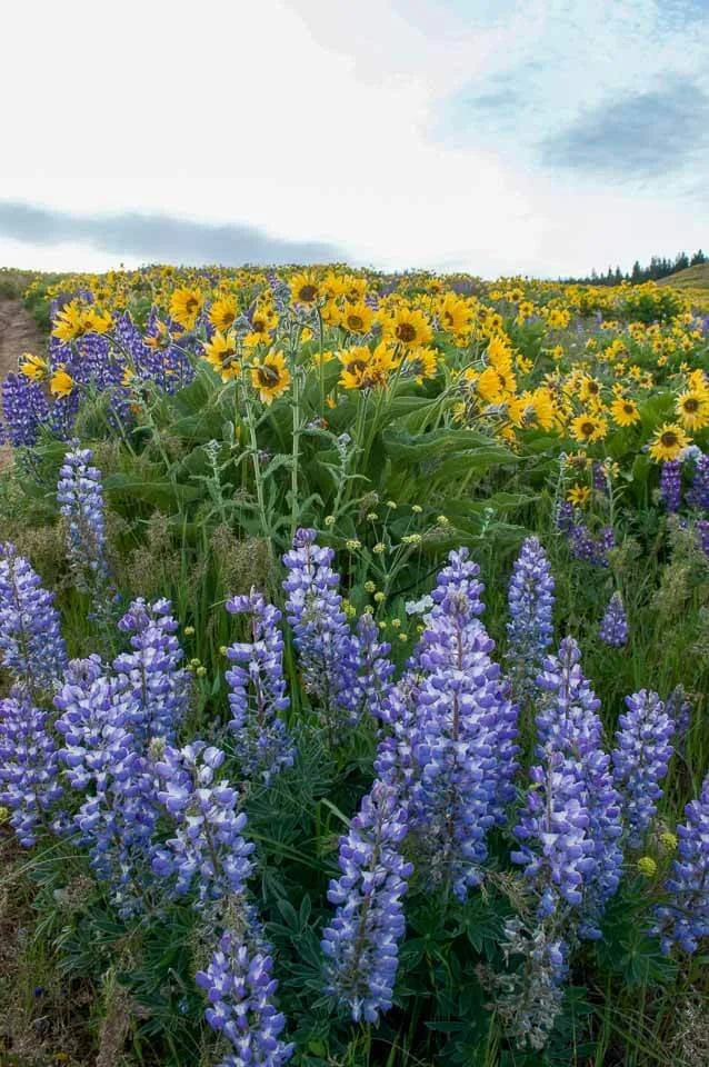 21 Best Spring Break Destinations in the USA (City Breaks, Beaches ...