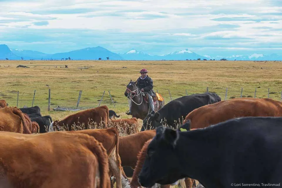 5 Tips for Traveling in Patagonia and Planning Your First Trip ...
