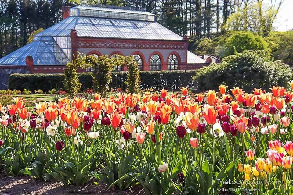 21 Best Spring Break Destinations in the USA (City Breaks, Beaches ...