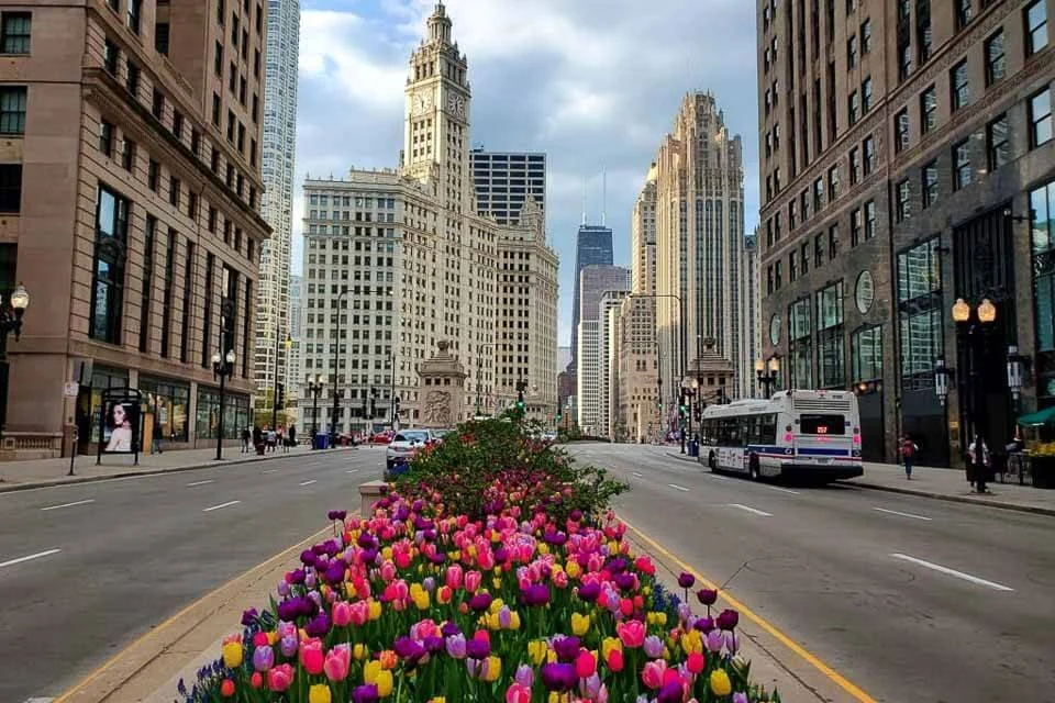 21 Best Spring Break Destinations in the USA (City Breaks, Beaches ...