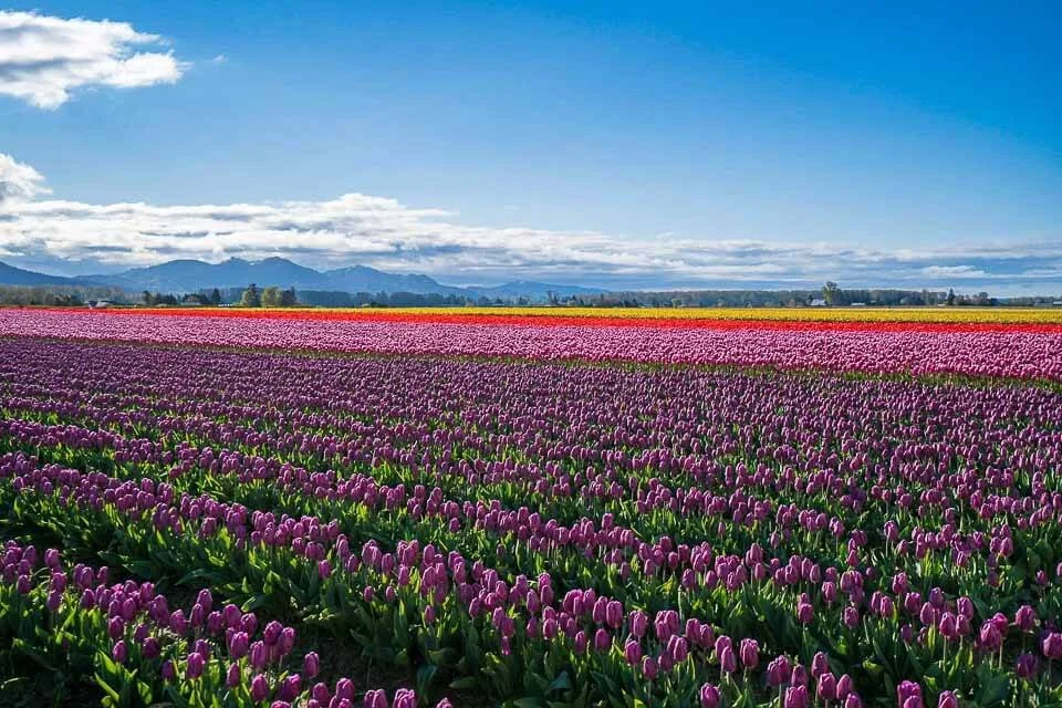 21 Best Spring Break Destinations in the USA (City Breaks, Beaches ...