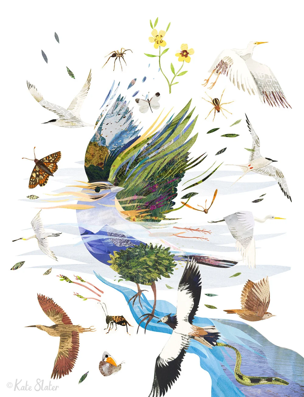 RSPB Annual Report — Kate Slater Illustration