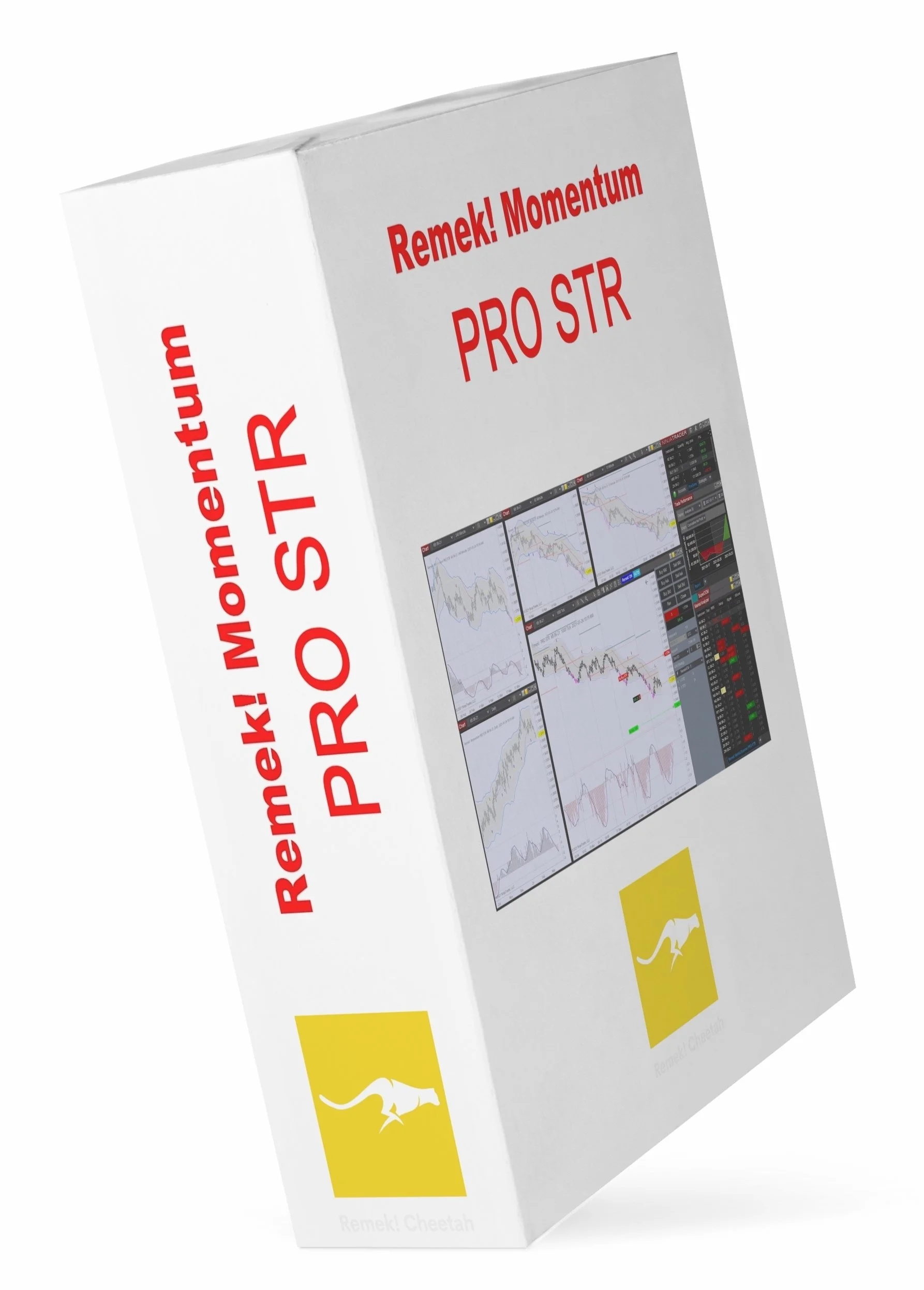 Algorithmic and semi-discretionary trading systems for NT8 — Remek ...