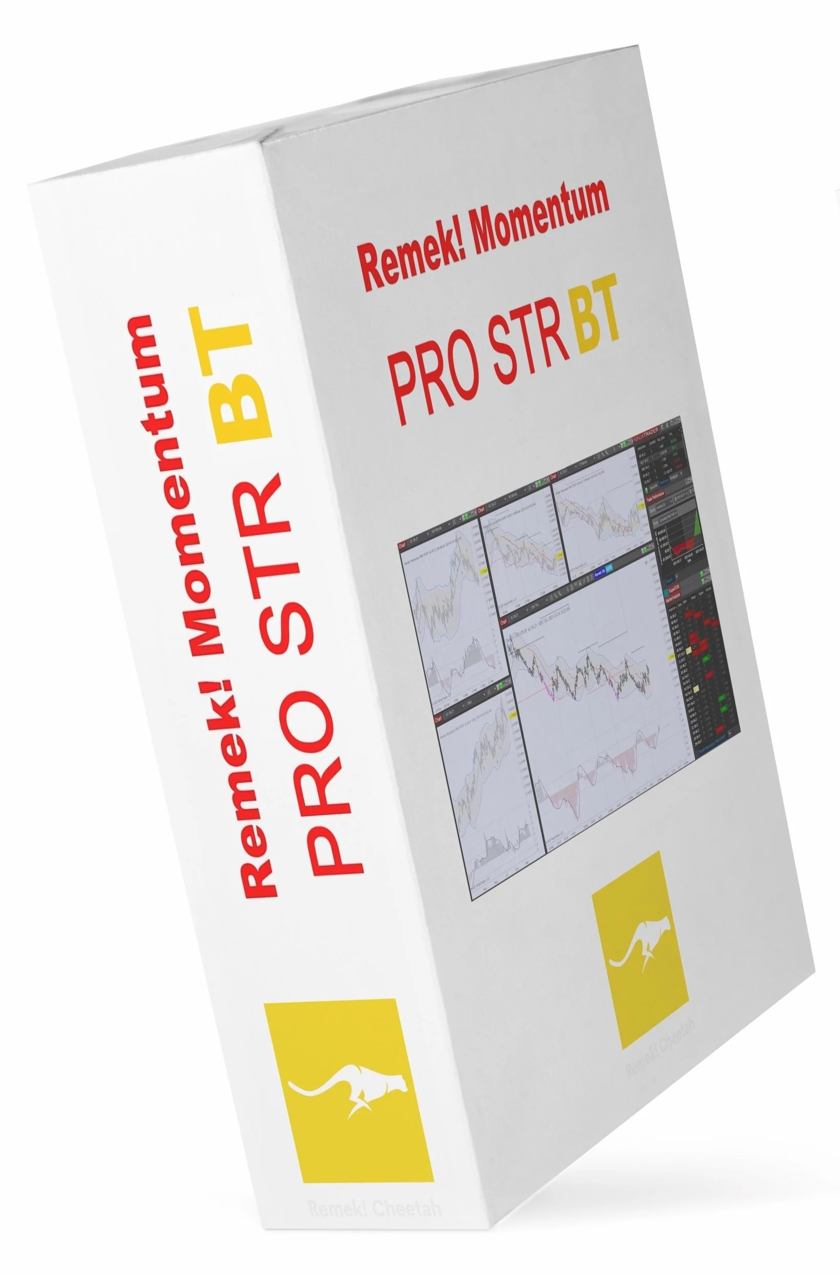 Algorithmic and semi-discretionary trading systems for NT8 — Remek ...