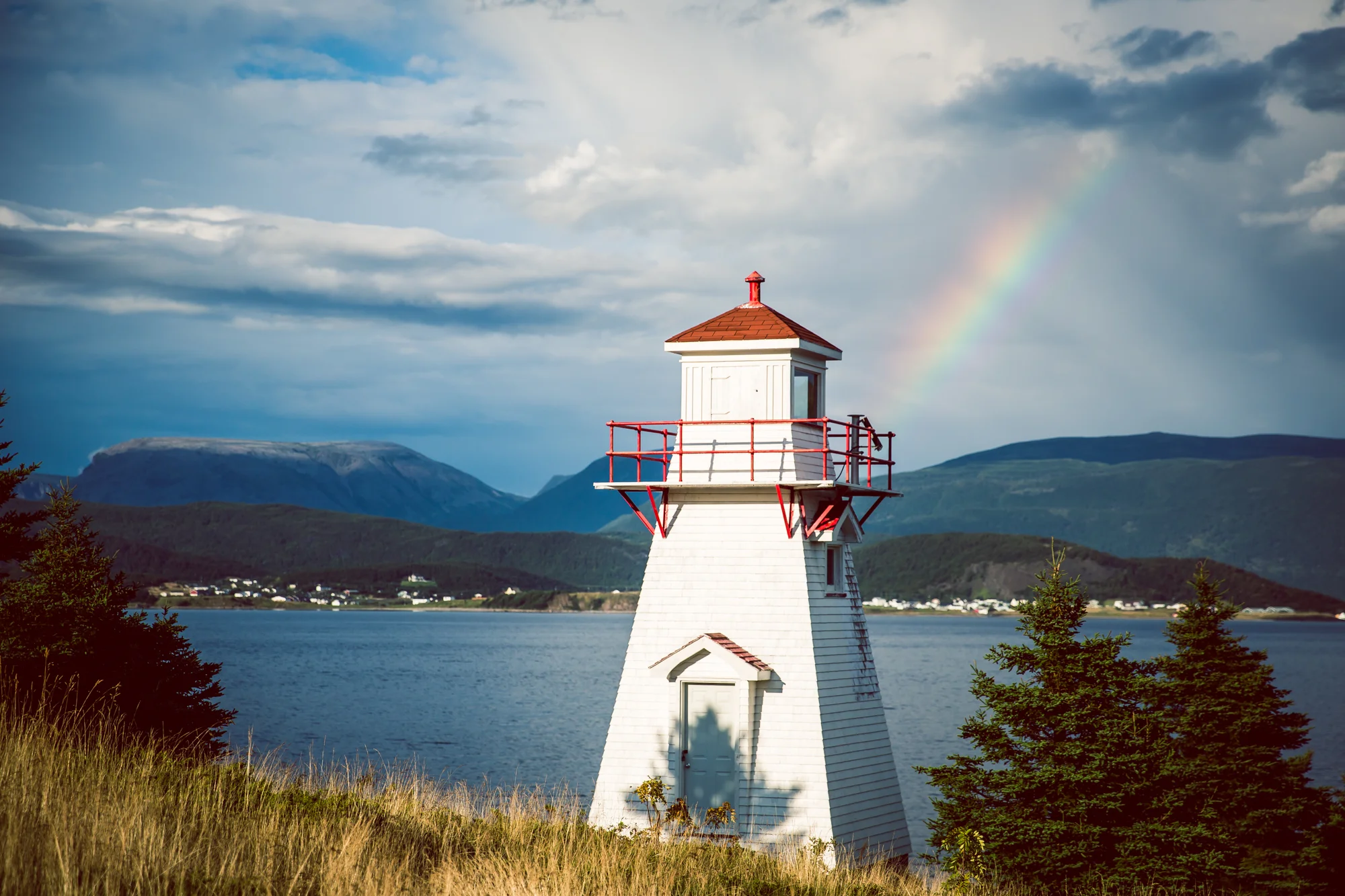 photography — Tom Cochrane Photo - Newfoundland Photographer and ...