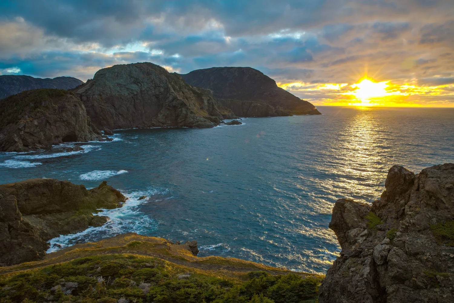 photography — Tom Cochrane Photo - Newfoundland Photographer and ...