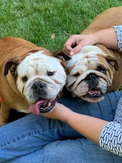 Adoption Events — Ruff Dog Rescue