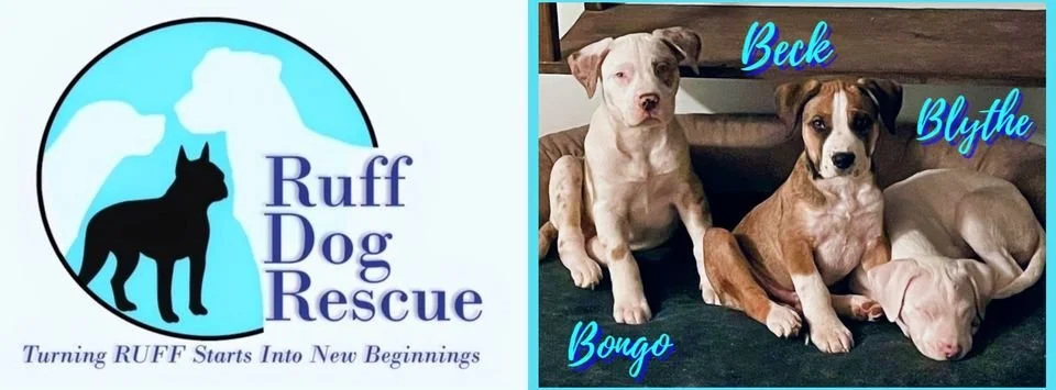 Adoption Events — Ruff Dog Rescue