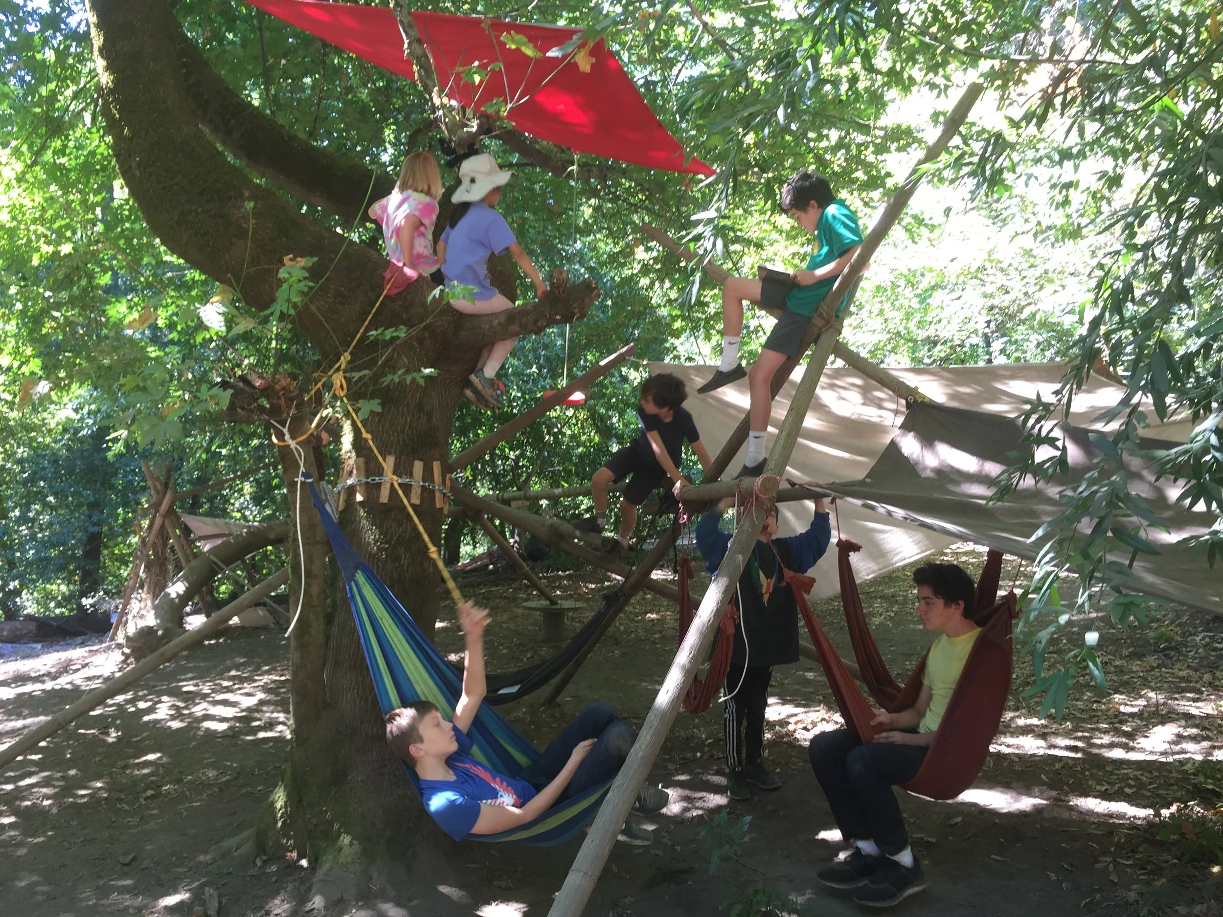 Summer DAY CAMPS! Tribal Wisdom Academy