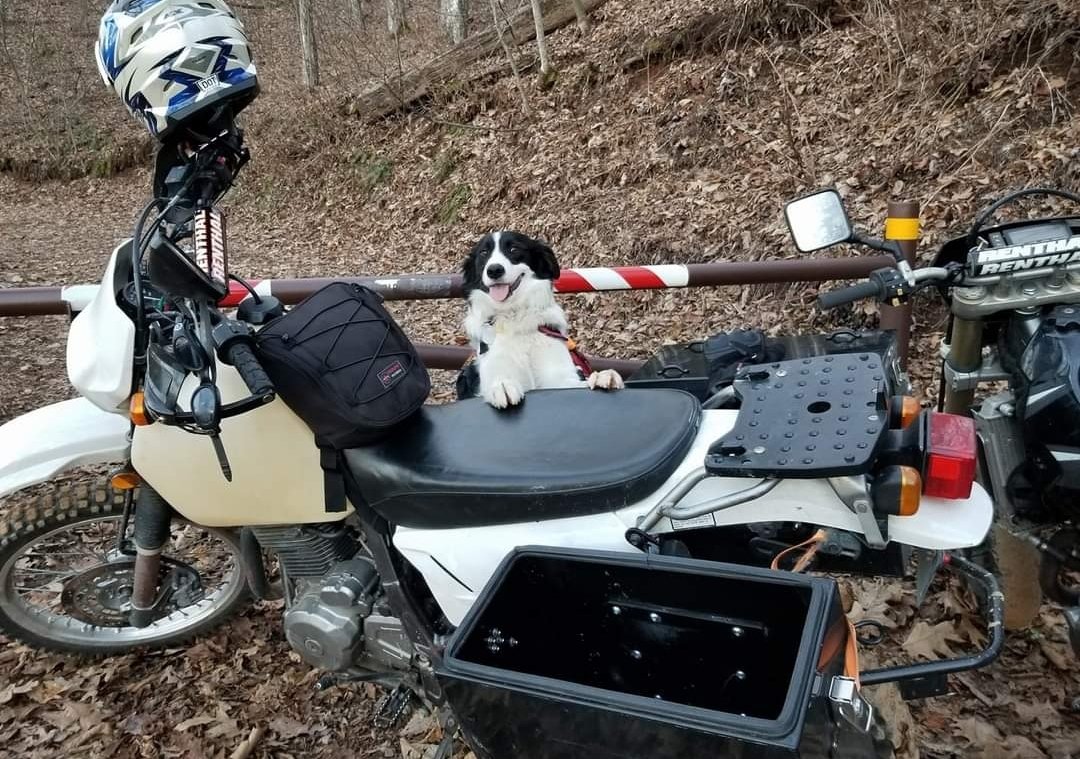 Two Wheeled Troublemaker - Israel Gillette — Motorcycle Podcasts ...
