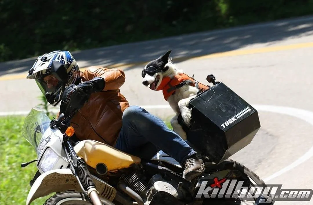 Two Wheeled Troublemaker - Israel Gillette — Motorcycle Podcasts ...