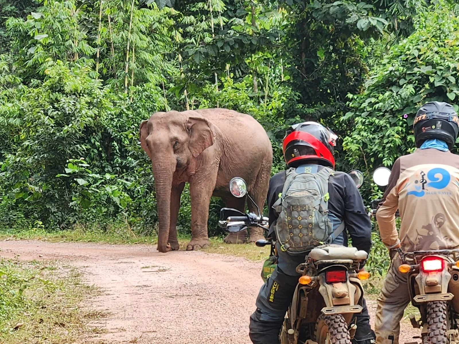 Motorcycle Adventures in Laos - Rally for Rangers — Motorcycle Podcasts ...