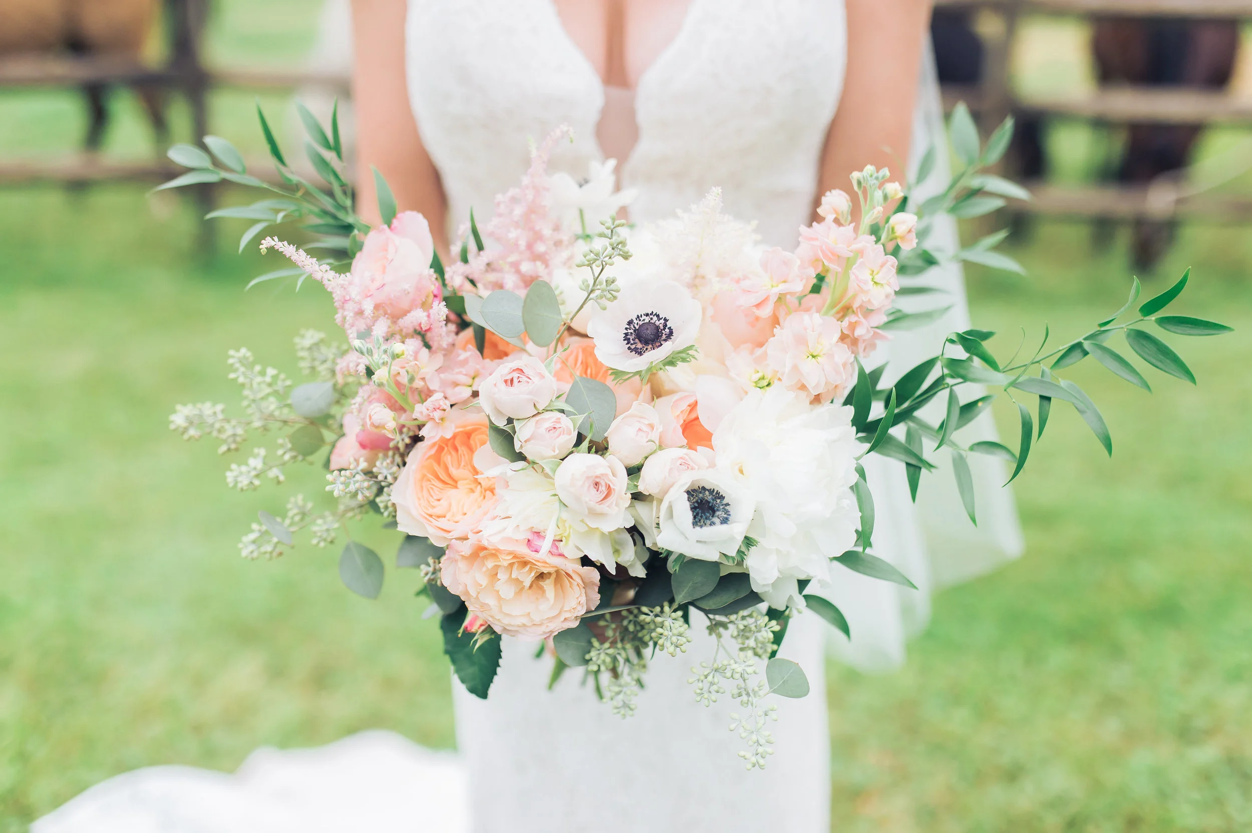 Flowers — laura thomson design