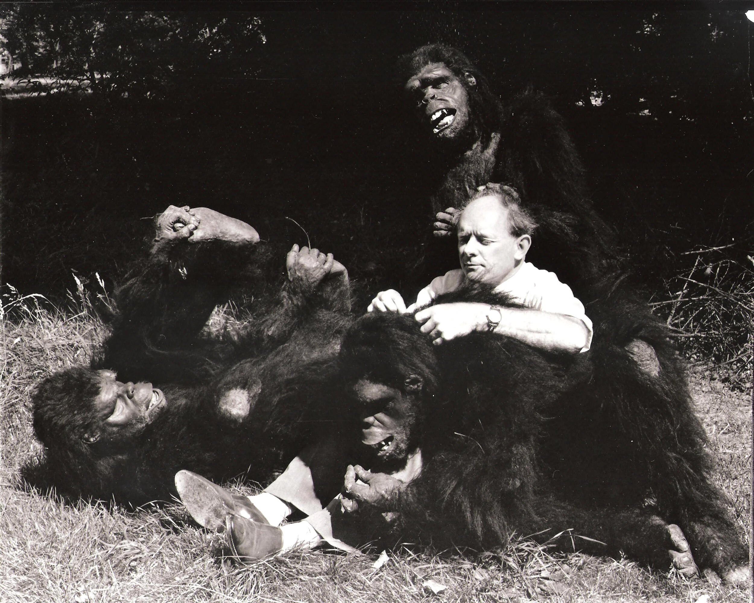 Dan Richter. Conversation with the Man-ape of “2001: A Space Odyssey ...