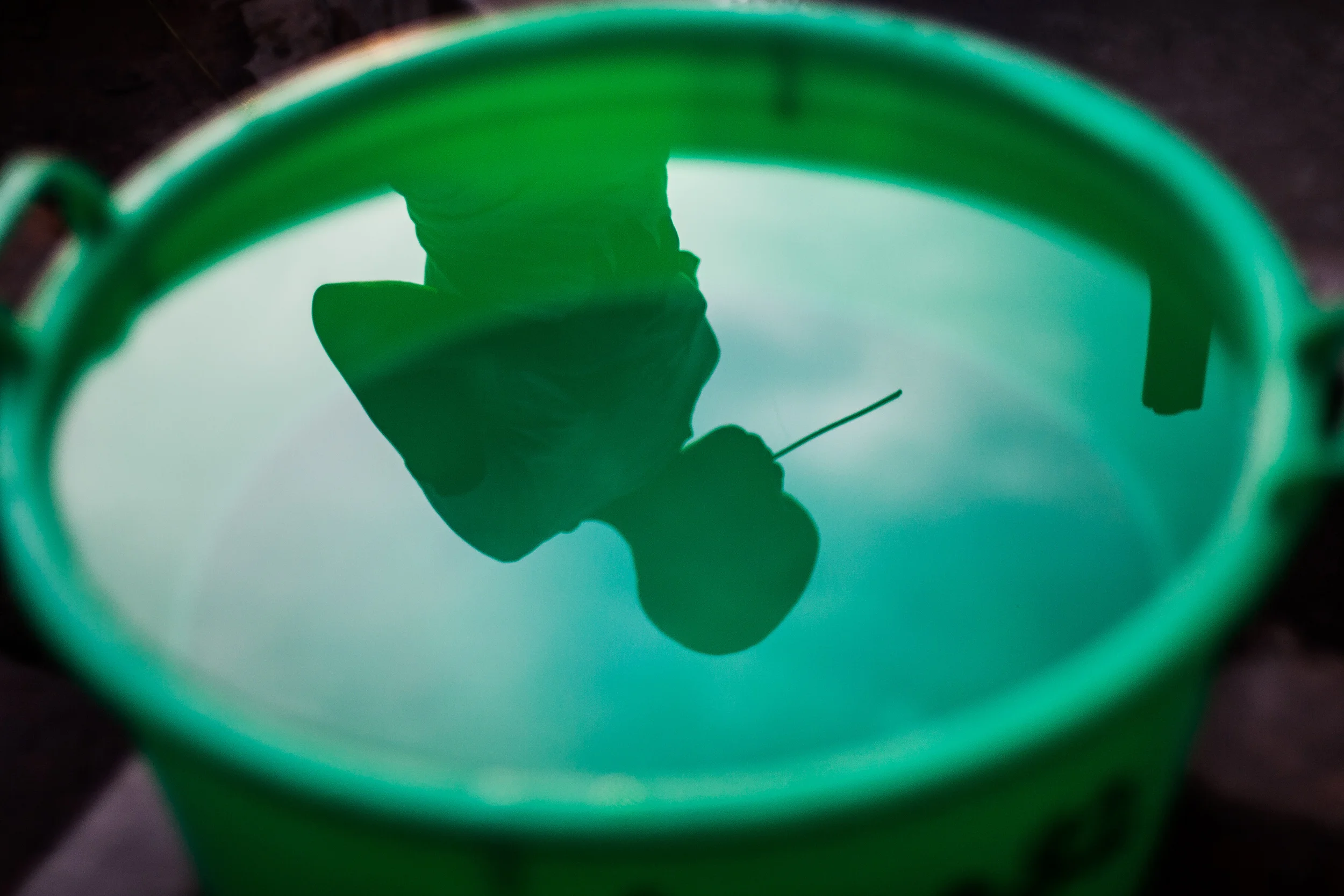 Contact Us — Water is Basic